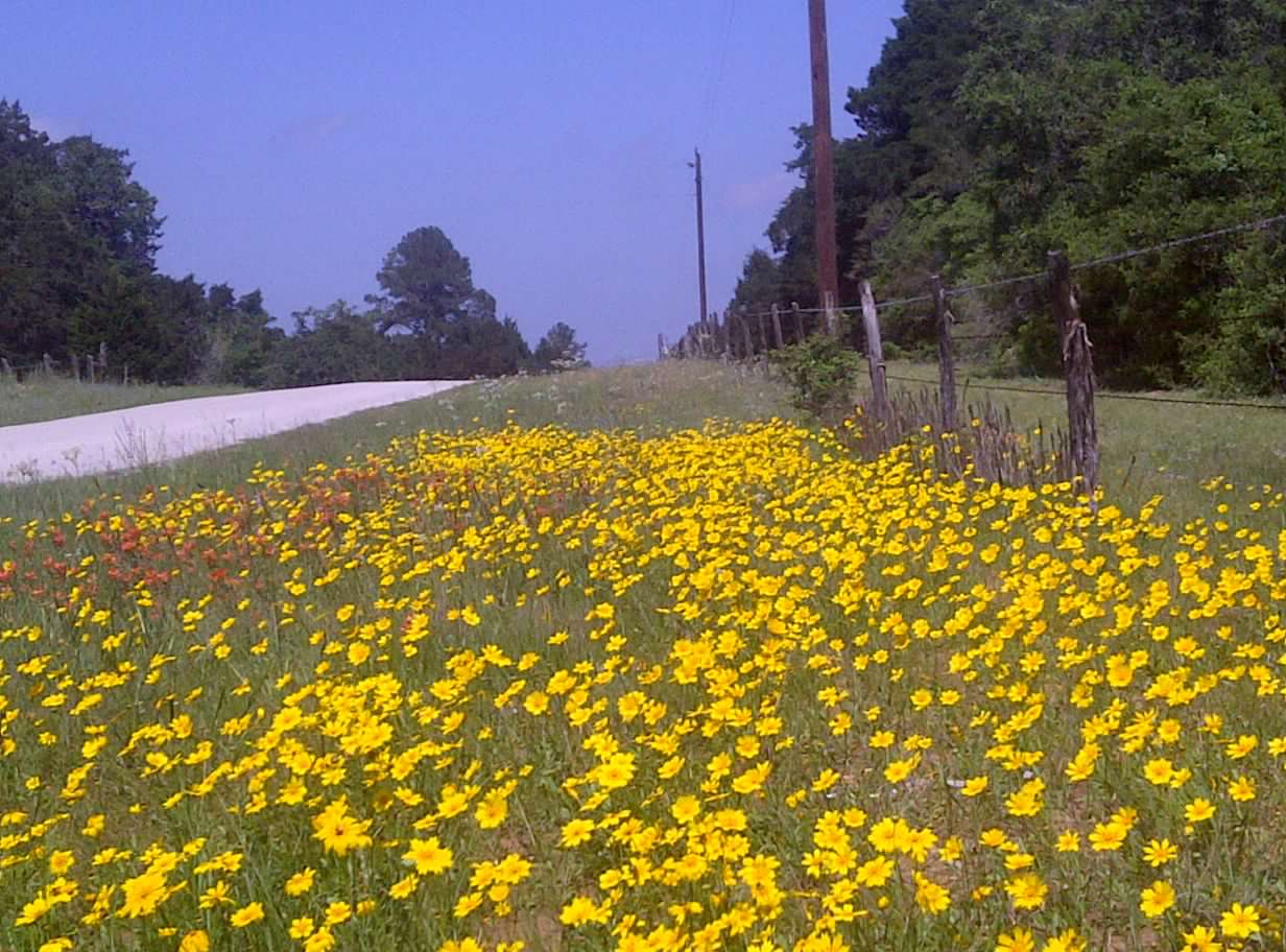 Cat Spring, Texas – A Best-kept Secret